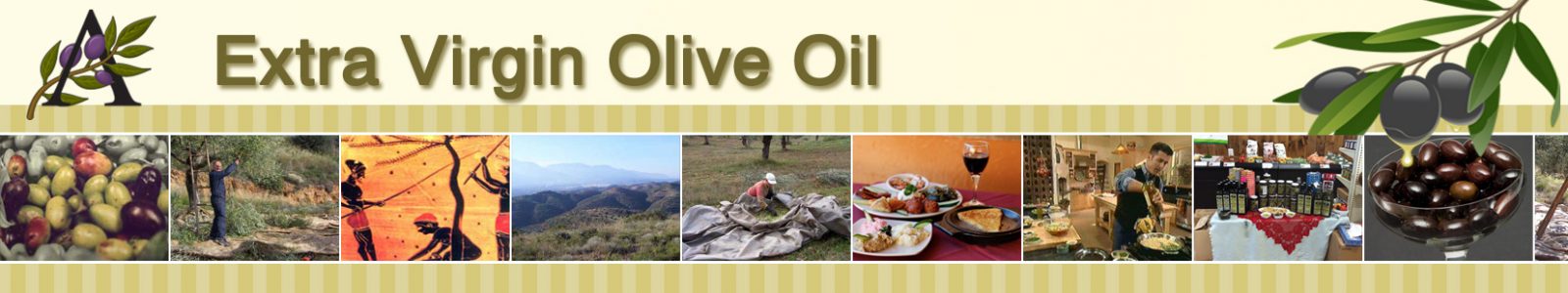 Gallery - Extra Virgin Olive Oil